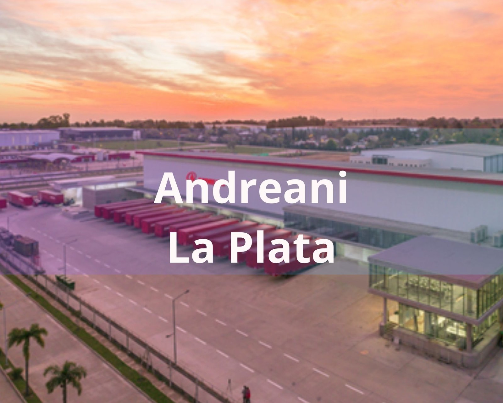Andreani《 Sucursales en Mar del Plata 》 2025 ️