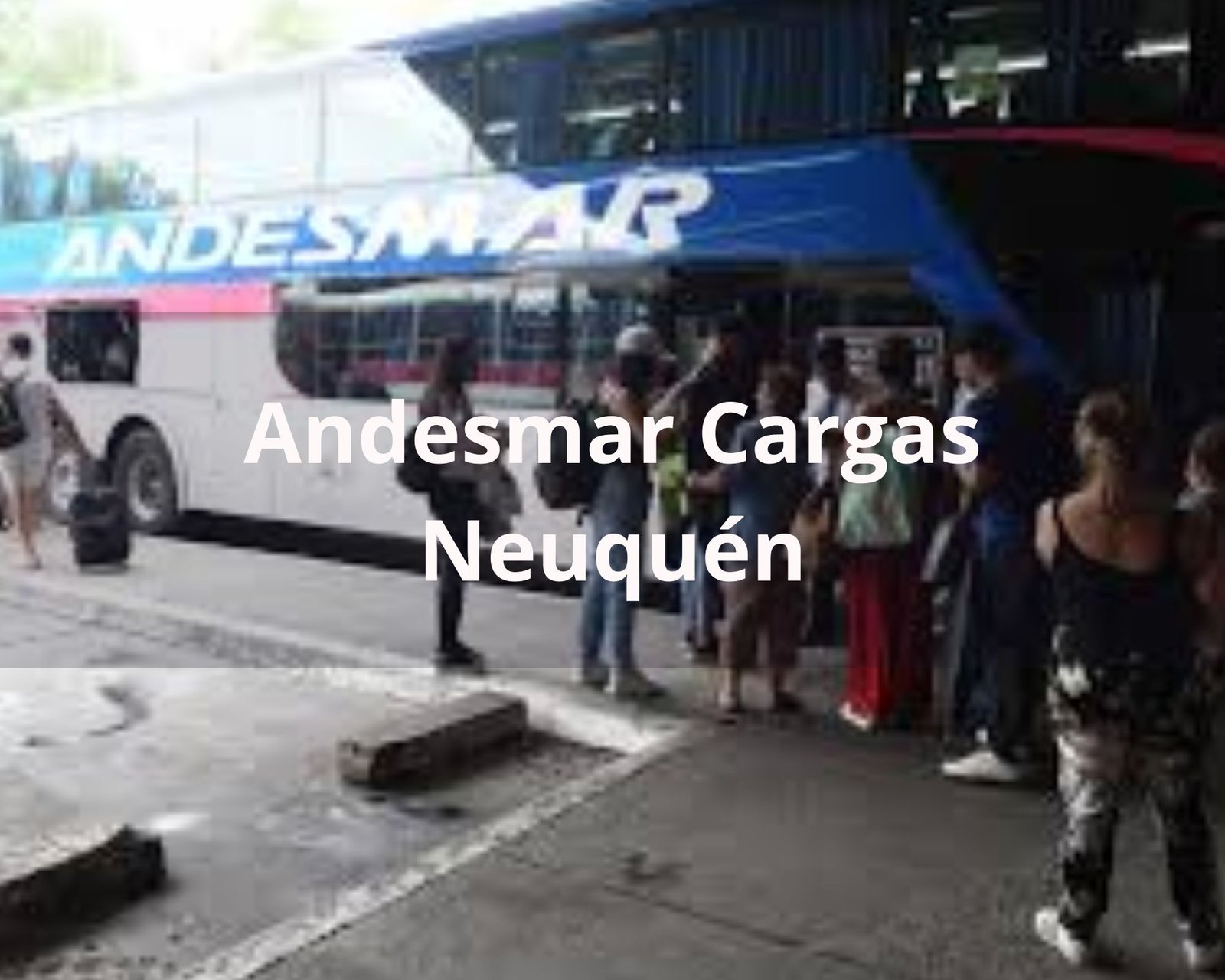 Andesmar Cargas《 Sucursales en Neuquén 》 2025 ️